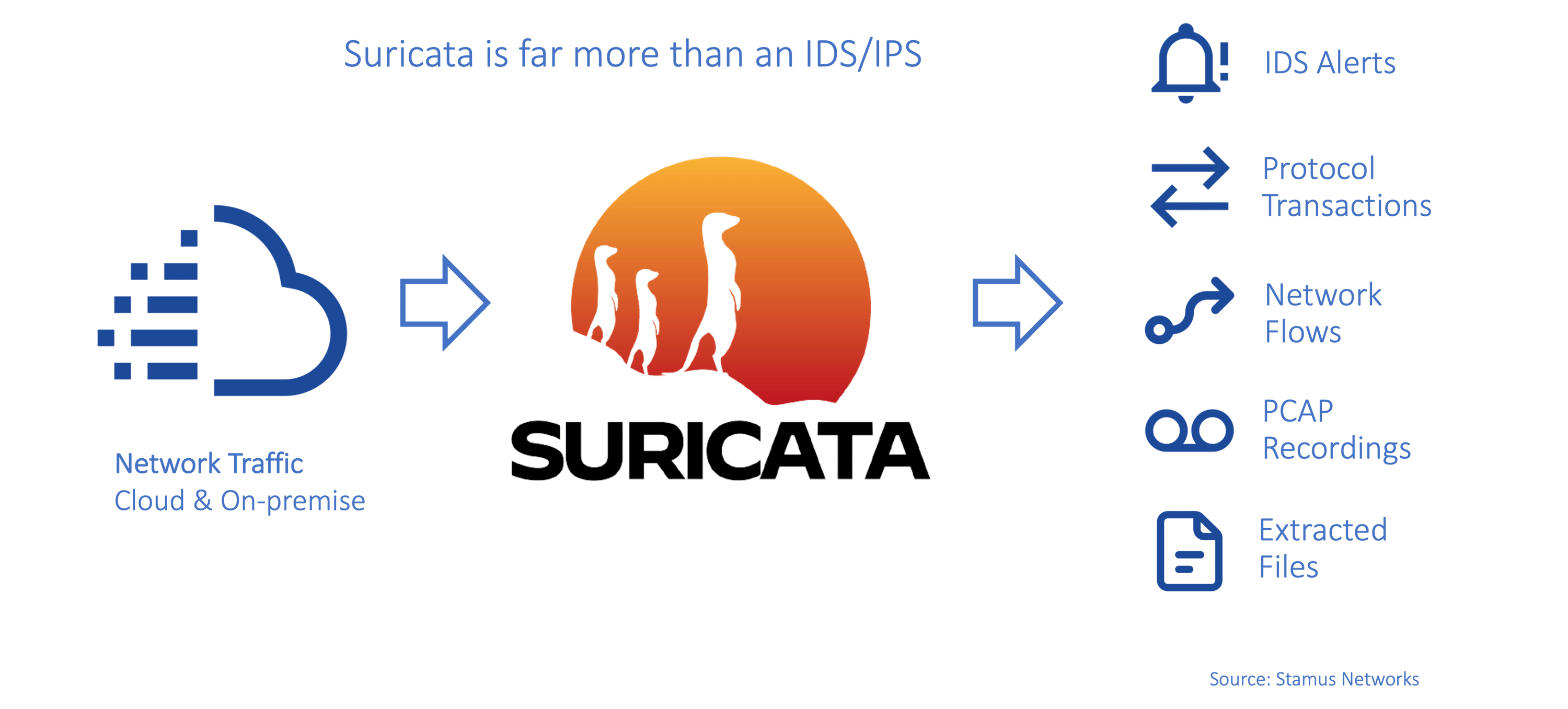 The Other Side of Suricata